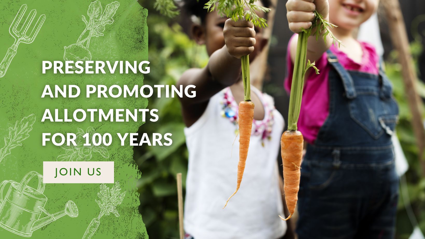 Top 10 Allotment Tips for Beginners | The National Allotment Society